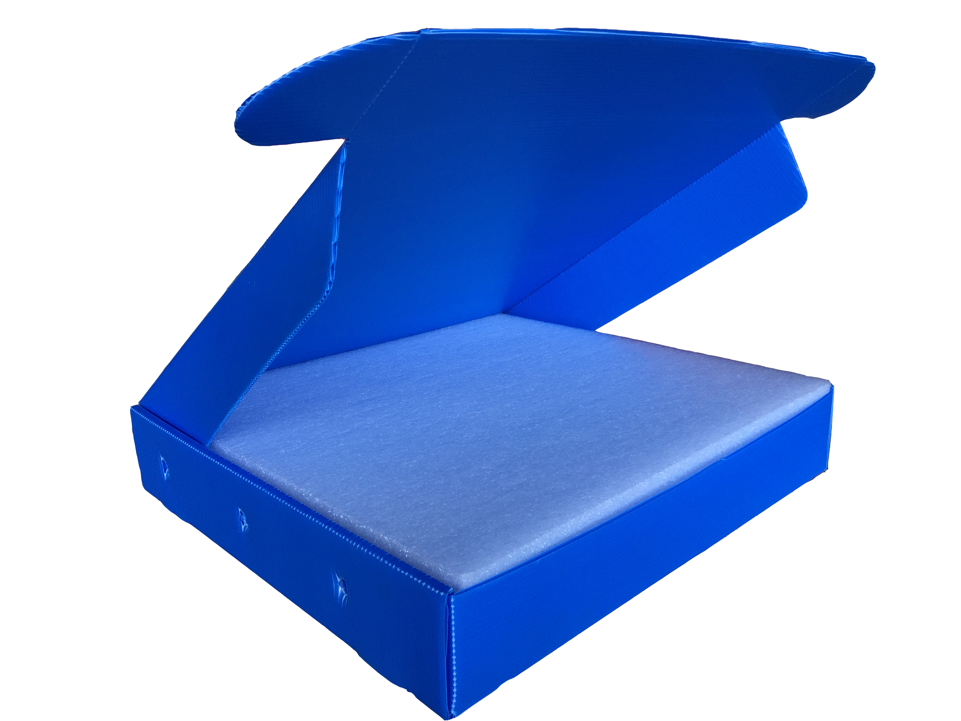 PP Pizza box - Queiher co., ltd.